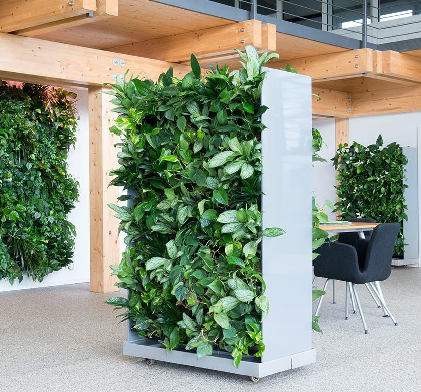 groene kantoor divider