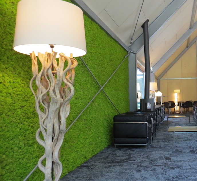 Een complete wand bedekt met mos